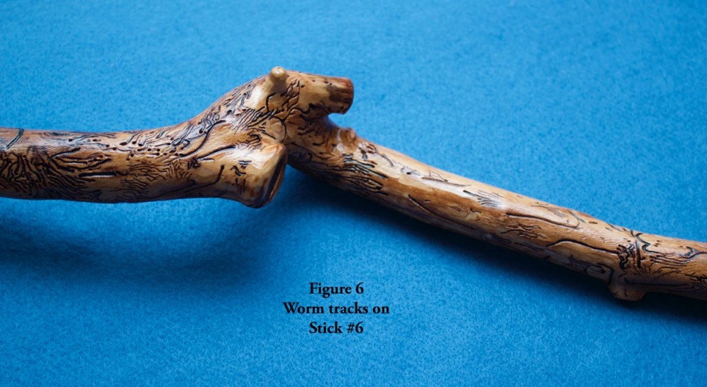 Fig 6 Worm tracks – Highland Woodworking Blog